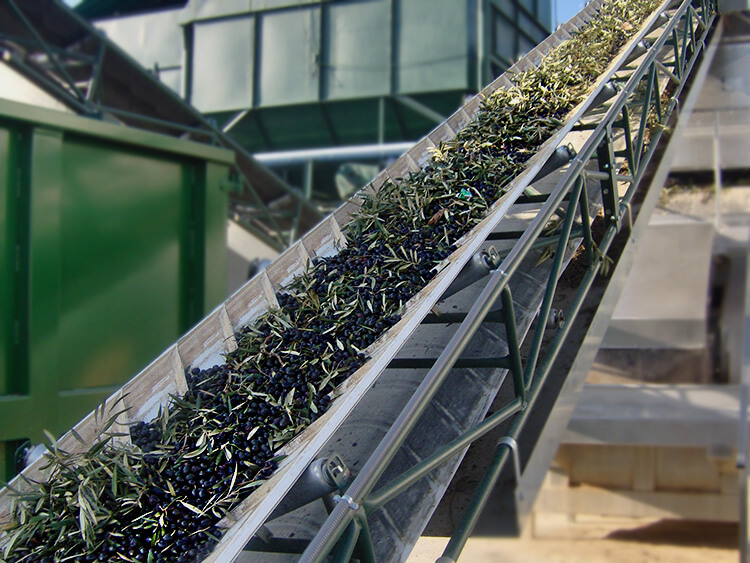 Thermoplastic Conveyor Belts Manufacturer - Esbelt